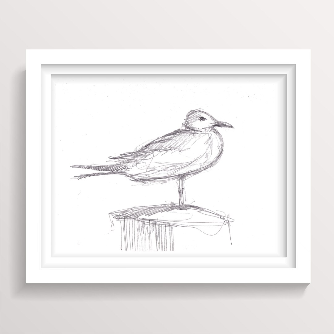 SEAGULL PENCIL SKETCH - Animal Art, Nautical Art, Nature, Ocean, Line ...