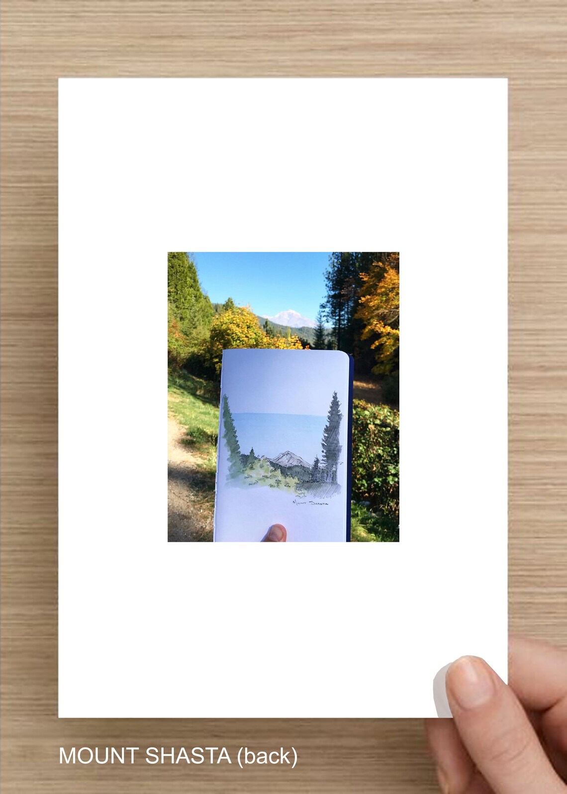 MOUNT SHASTA Ink and Watercolor Art Prints Drawing | Etsy