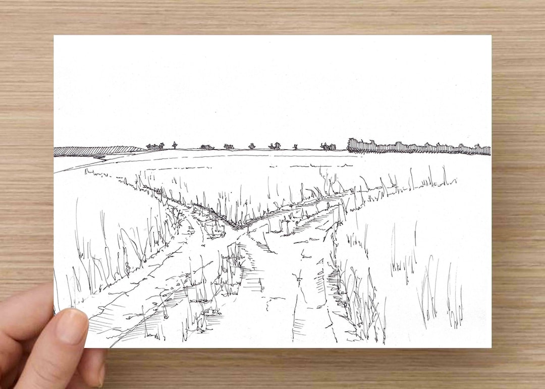 FORK in the ROAD - Dirt Road, Meadow, Path, Wander, Travel, Hiking, Pen ...