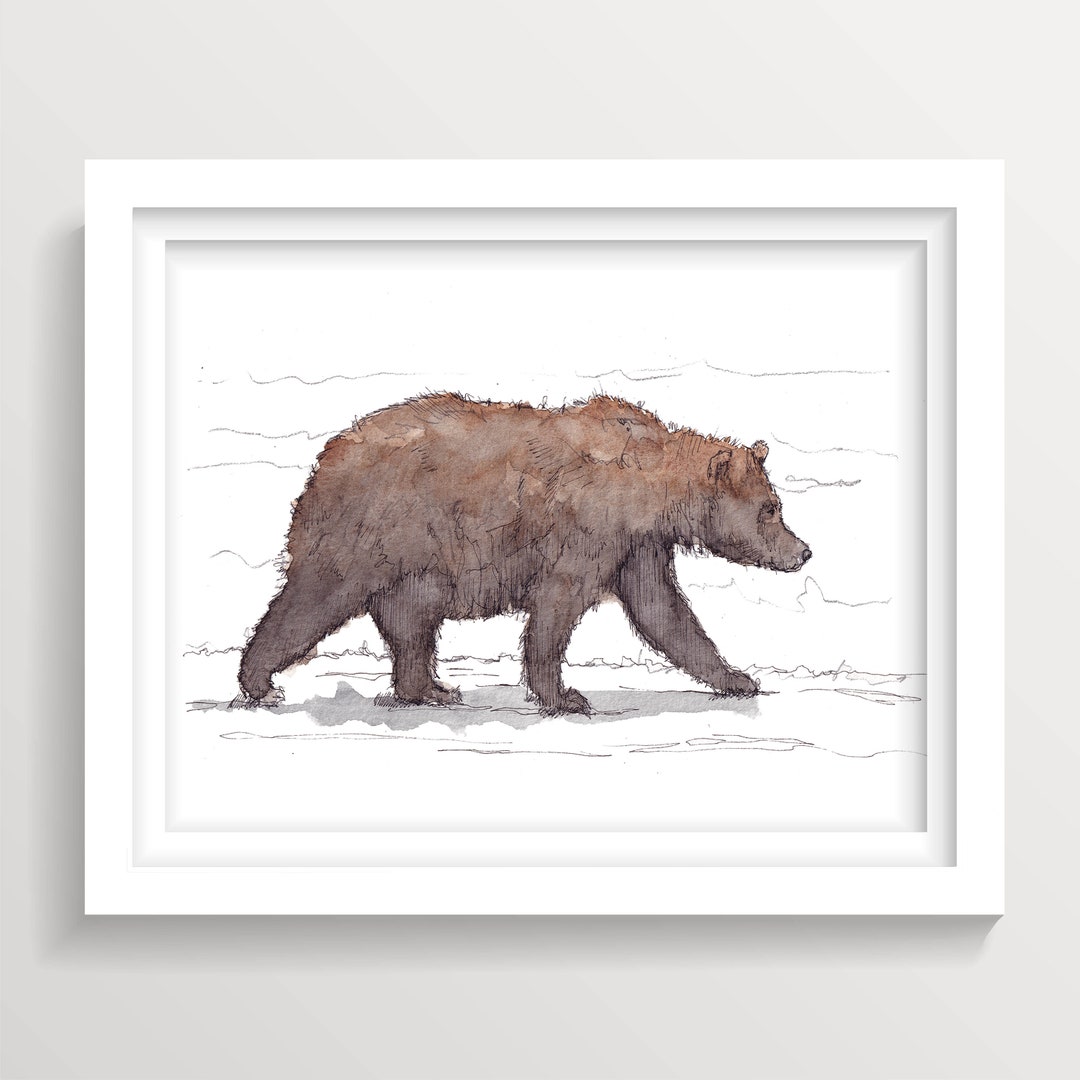 GRIZZLY BEAR - Ink and Watercolor Painting of a Grizzly Bear Seen in ...