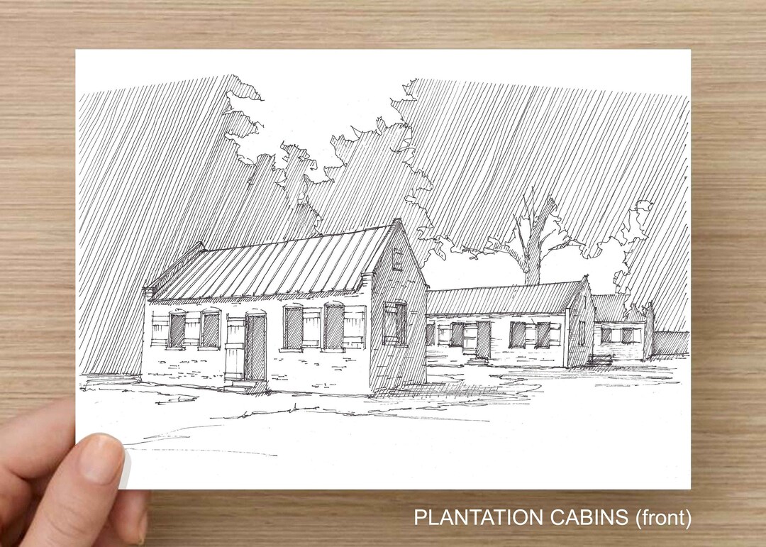 BOONE HALL PLANTATION Slave Cabins, History, Slavery, Drawing, Pen and ...