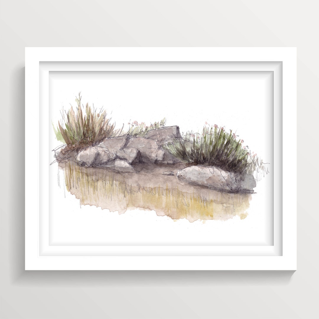 TEMECULA ROCKS and GRASS - Meadow, Wildflowers, Plein Air Landscape ...