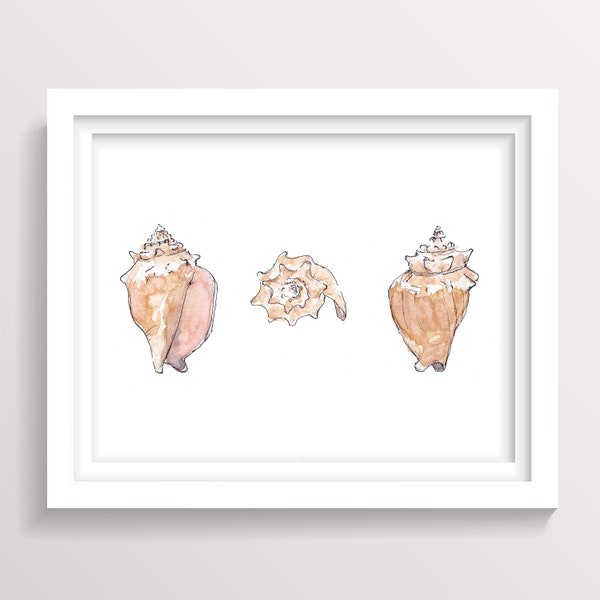 Conch Shell Art - Etsy