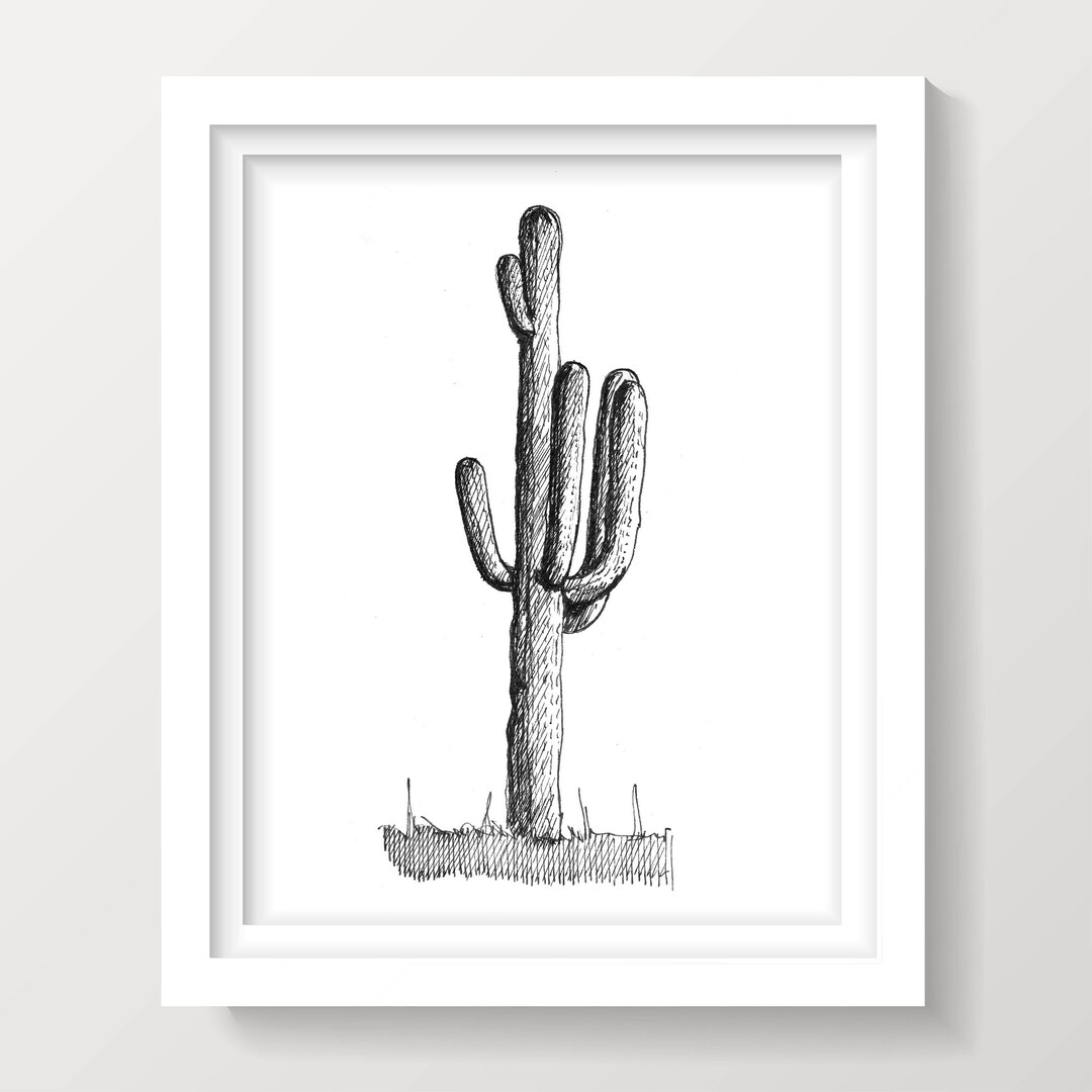 CACTUS INK SKETCH Desert Plants Nature Pen and Ink Plein - Etsy