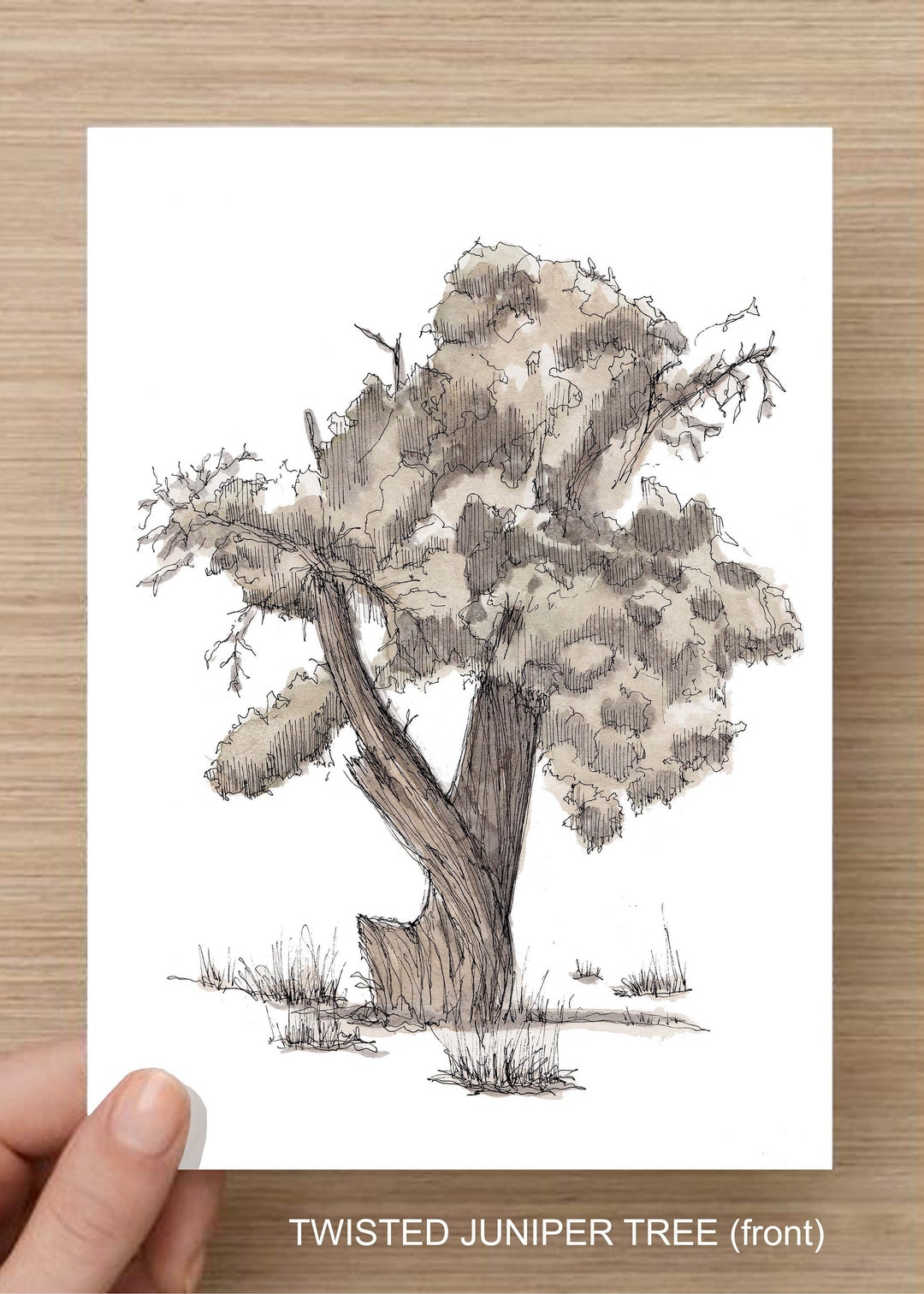 JUNIPER TREE TWISTED - Vortex, Utah, Snow, Desert Life, Nature, Art ...