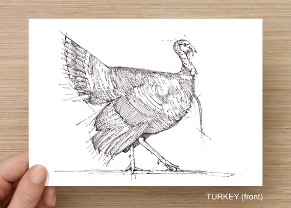 Turkey Hunting Sketches
