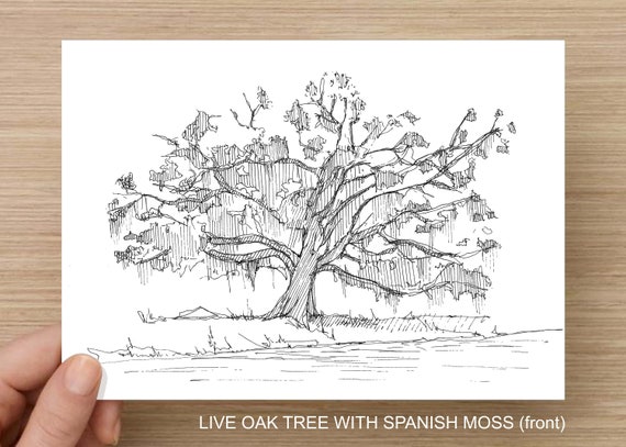 Oak Tree In Fall Drawing