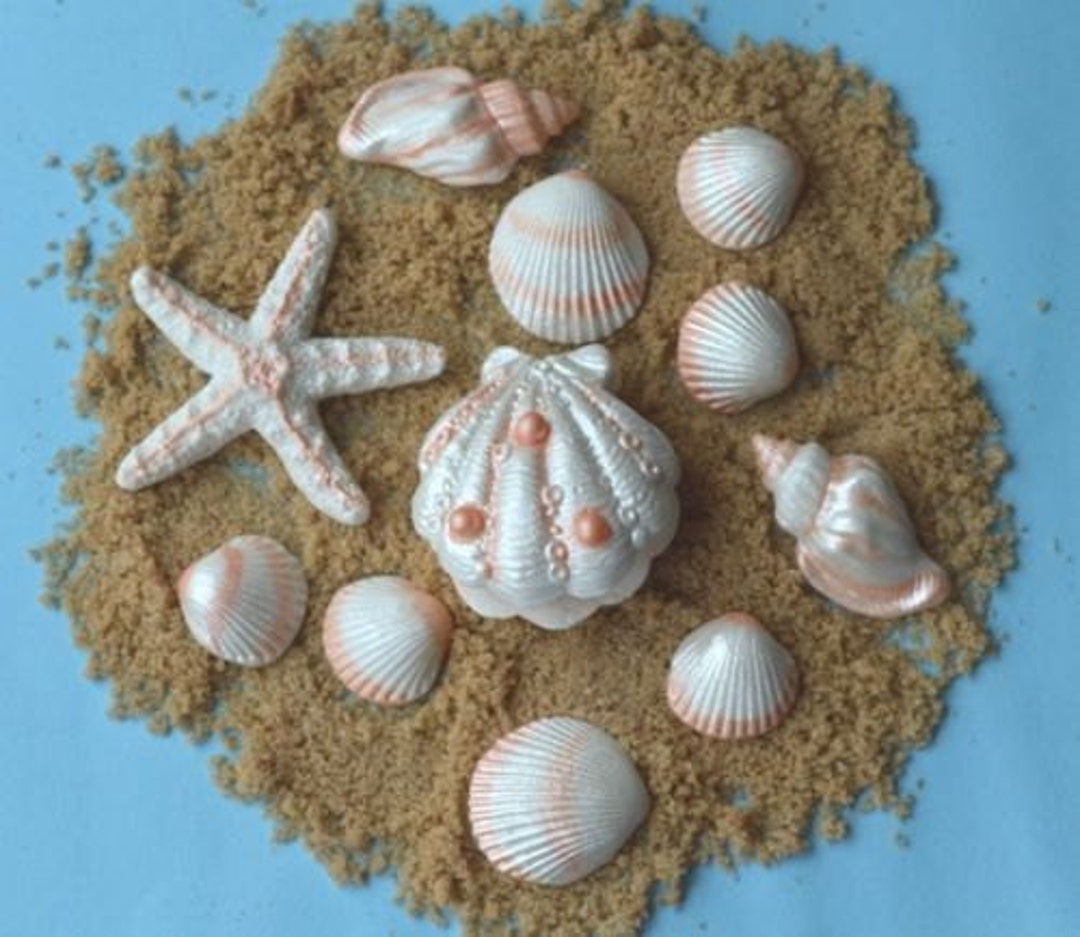 Edible Sea Shells. Wedding Cake Topper. Shell Cake - Etsy