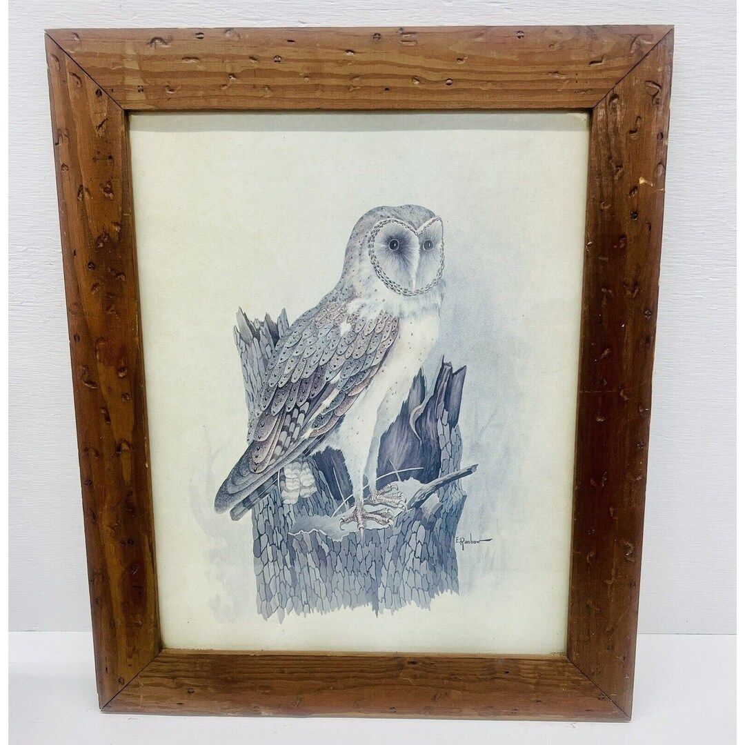 Vintage E Rambow Owl Print 1978 Arthur A. Kaplan Co. Wood Frame Litho ...