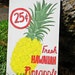 Pineapple Advertisement - Etsy