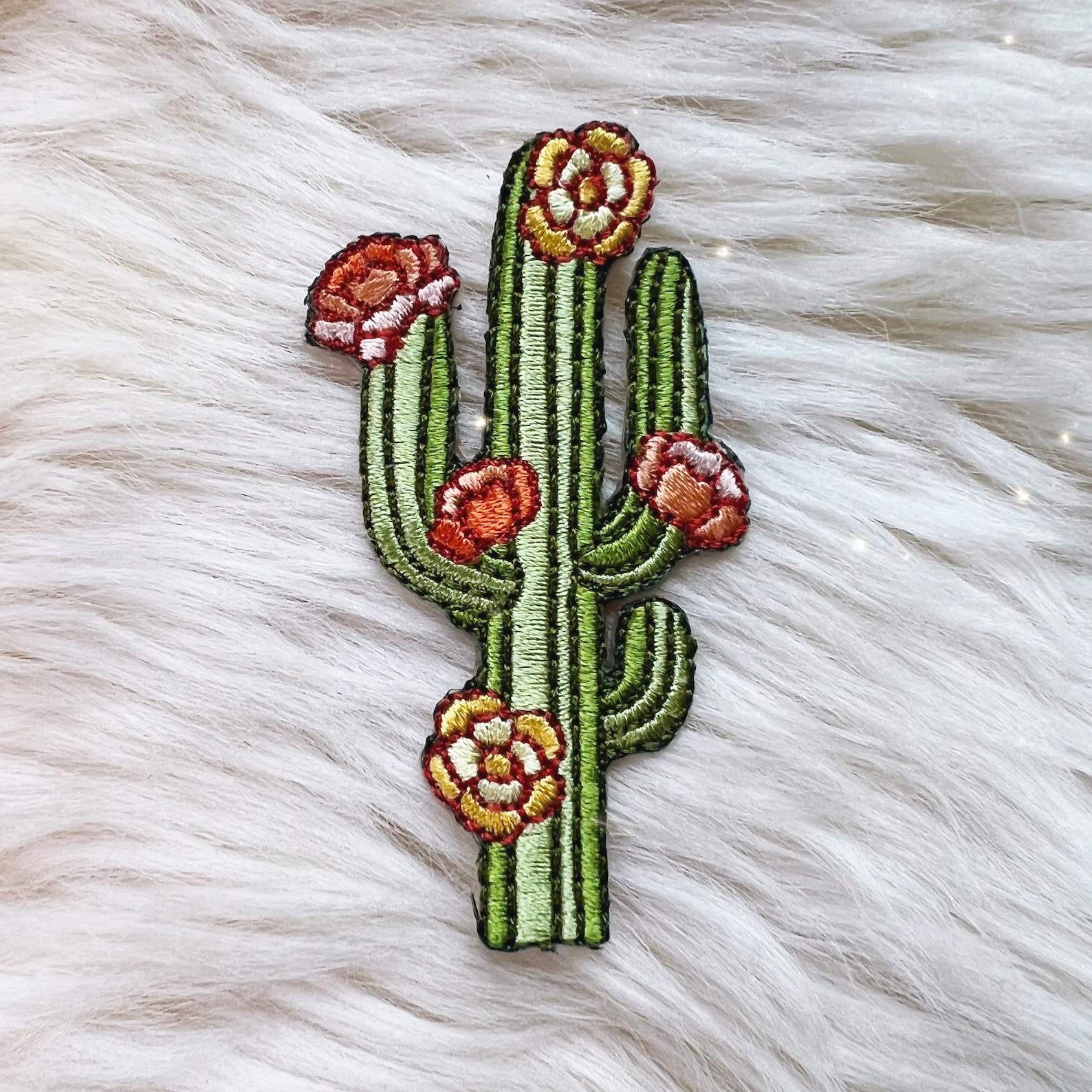 Desert Patch Collection Bundle S/7 Iron on Patches Cactus - Etsy