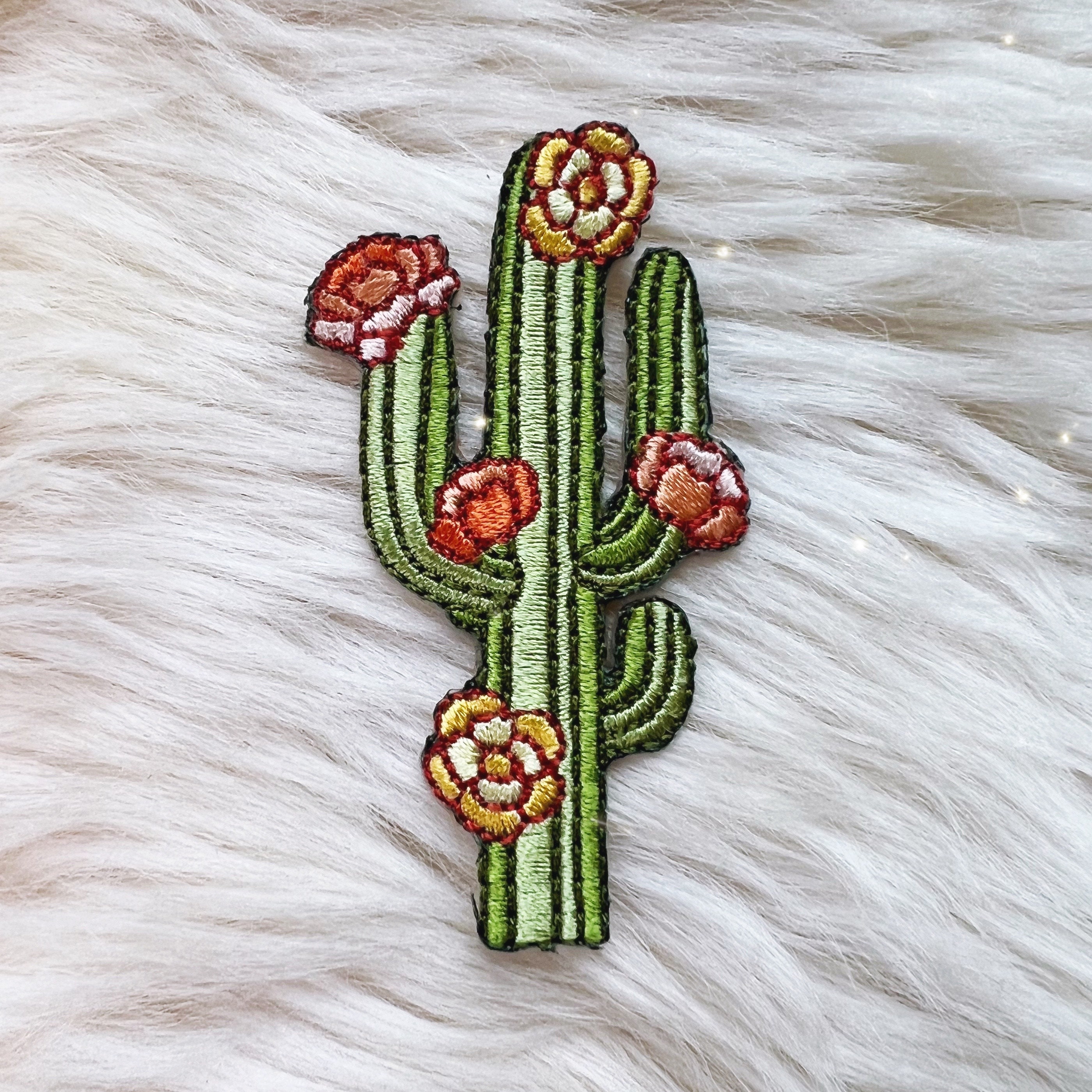 Desert Patch Collection Bundle S/7 Iron on Patches Cactus - Etsy