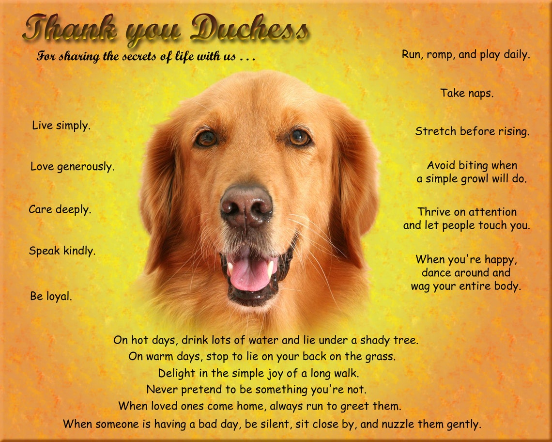 Golden Retriever Dog Tribute/memorial Picture wall Art - Etsy