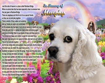 Rainbow Bridge Poem Pet DOG Loss Memorial Bereavement Colour - Etsy