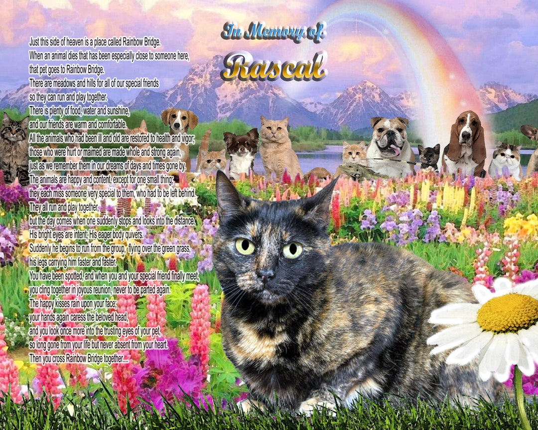 Tortise Shell Cat Memorial at Rainbow Bridge/poem Memorial - Etsy