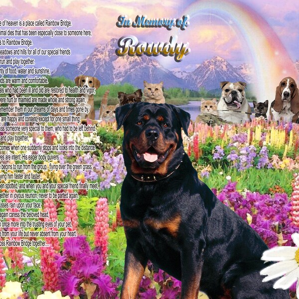 Rottweiler Memorial - Etsy
