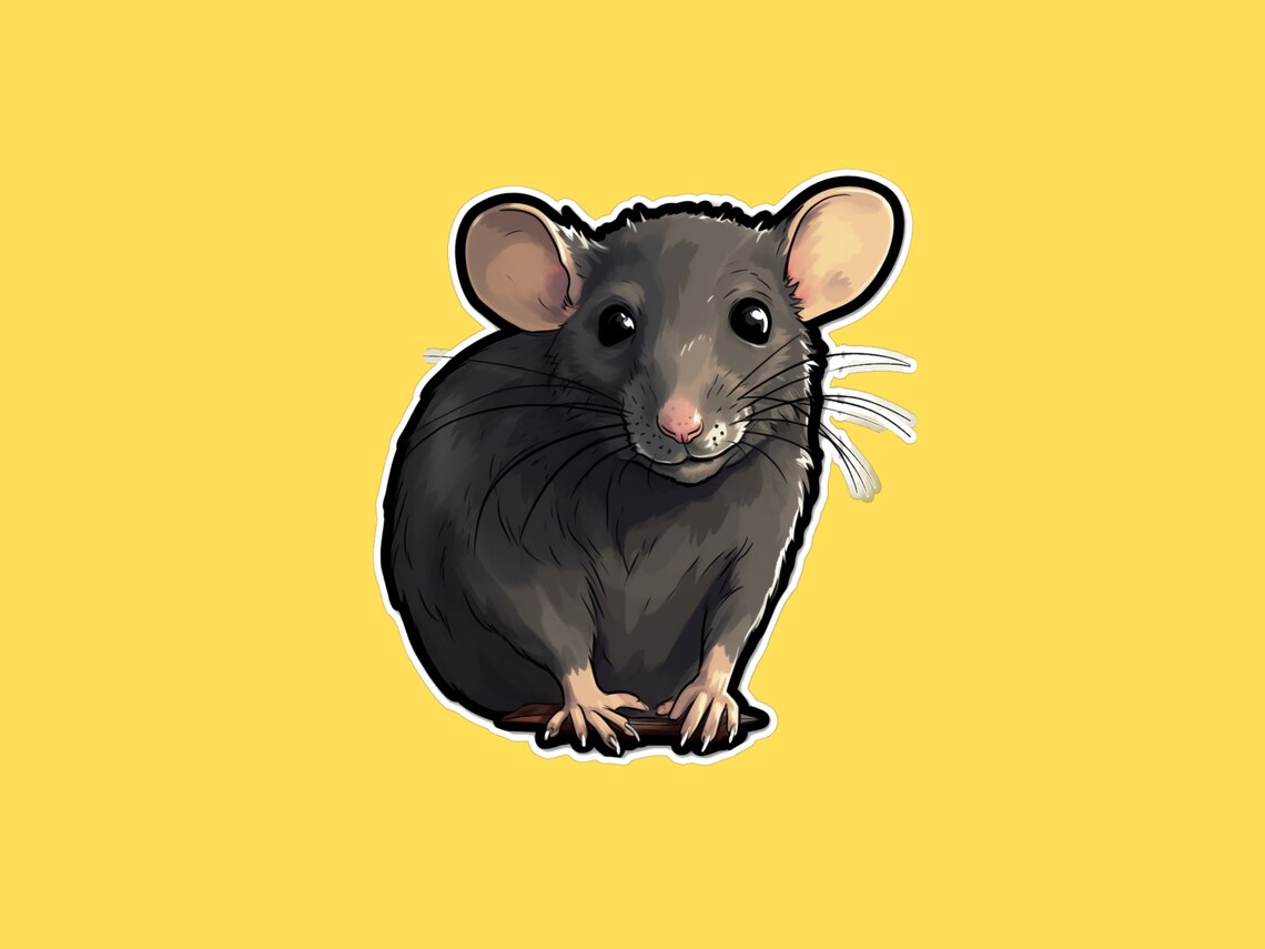 Rat Vinyl Sticker, Water Bottle Decal, Laptop Sticker, Rodent Lover ...