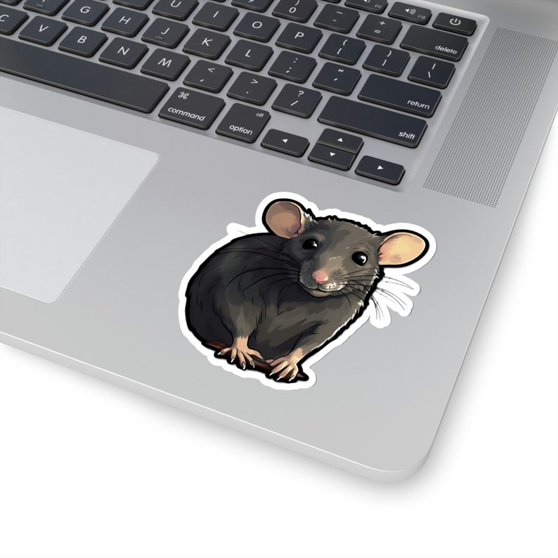 Rat Vinyl Sticker, Water Bottle Decal, Laptop Sticker, Rodent Lover ...