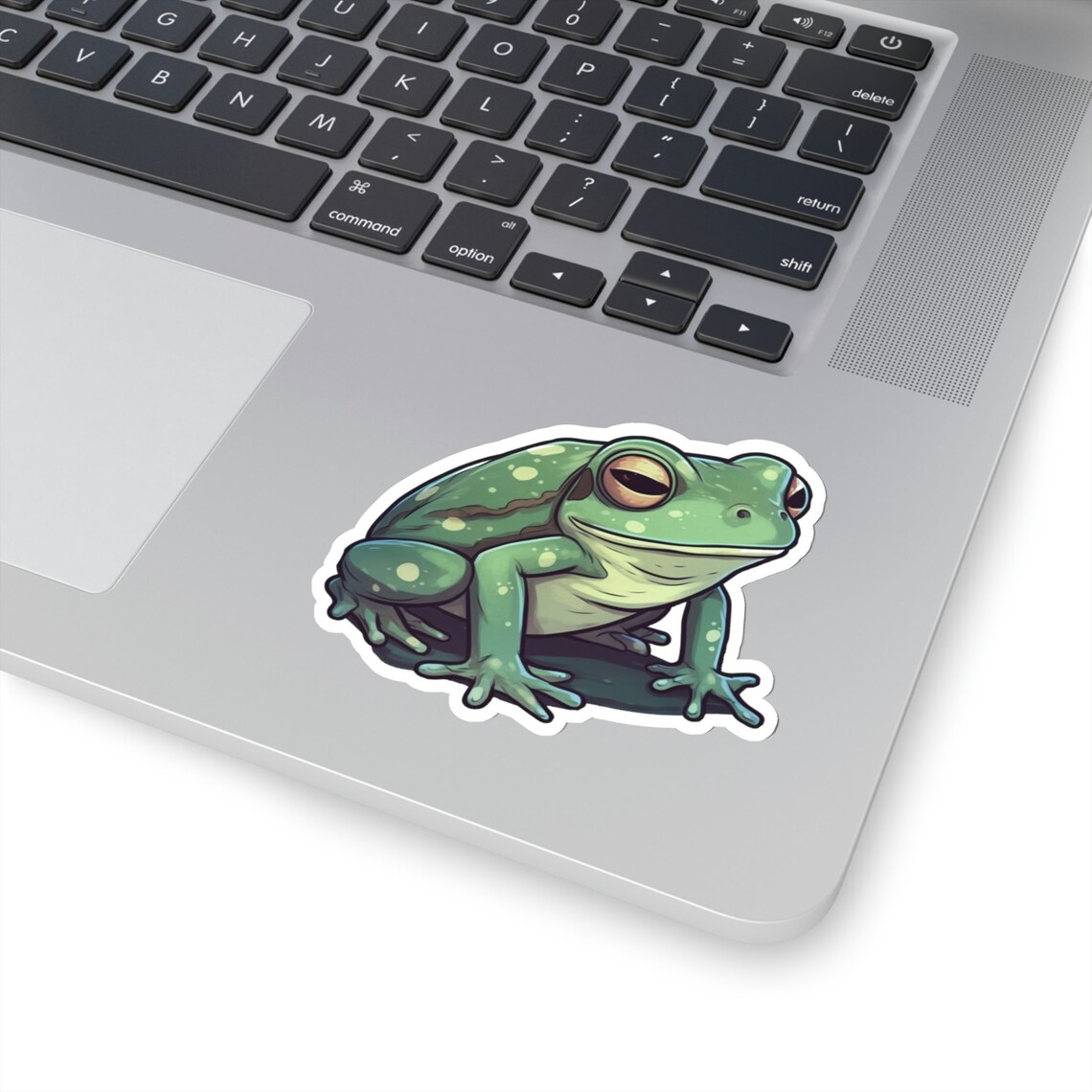 Frog Vinyl Sticker, Water Bottle Decal, Laptop Sticker, Whimsical ...