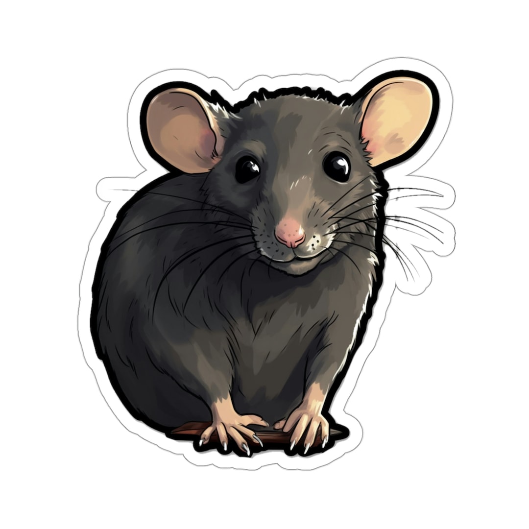 Rat Vinyl Sticker, Water Bottle Decal, Laptop Sticker, Rodent Lover ...