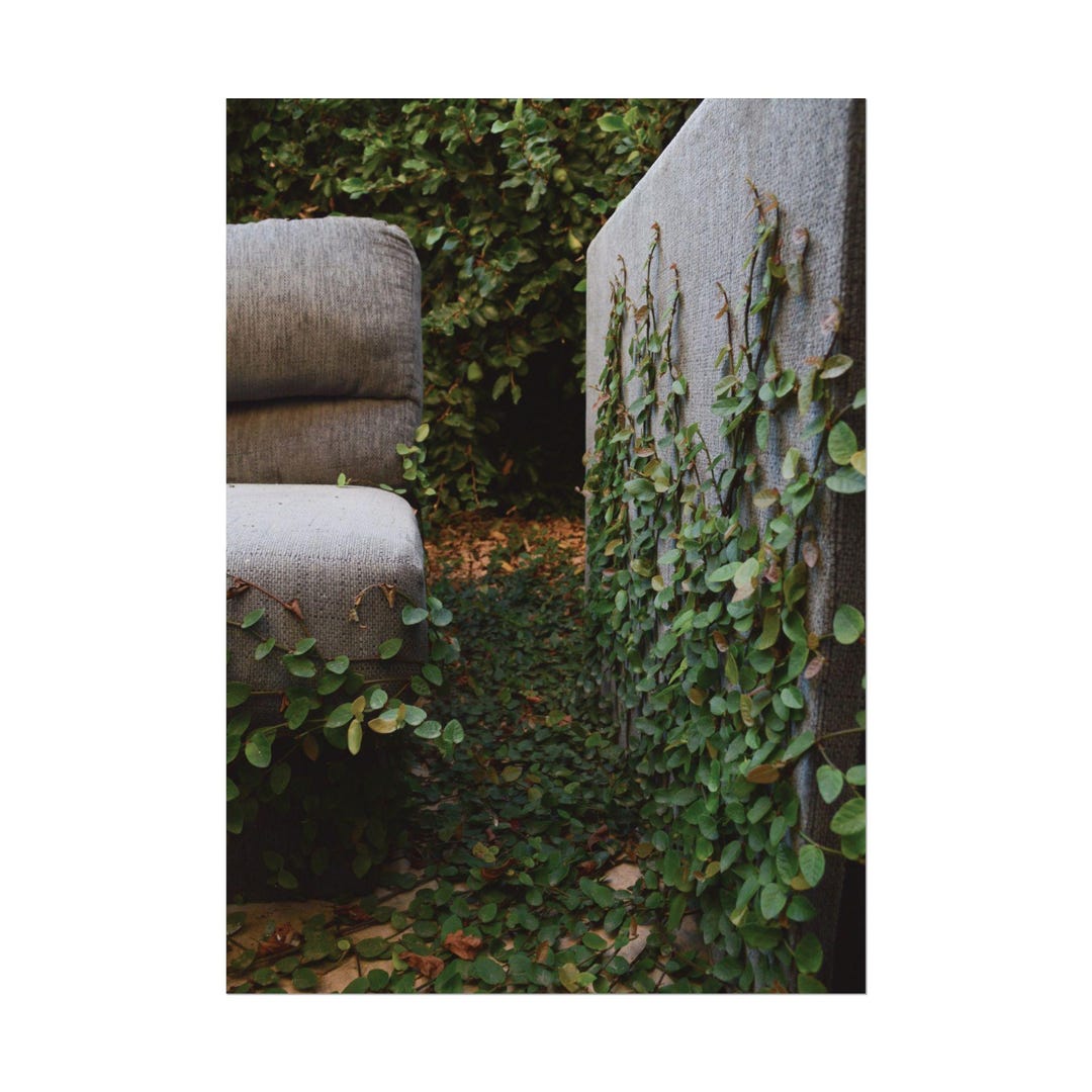 Overgrown Vines Photography Print - Etsy