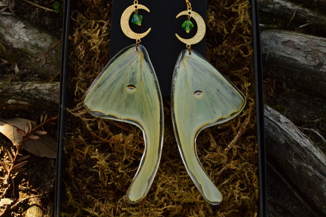 Real Luna Moth Wing Earrings - Etsy