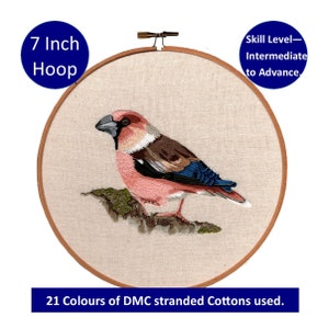 Hand Embroidery Pattern. PDF. Hawfinch Bird Pattern. Step by Step ...
