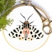 Hand Embroidery Pattern. PDF. Tiger Moth. Apantesis Incorrupta. How to ...
