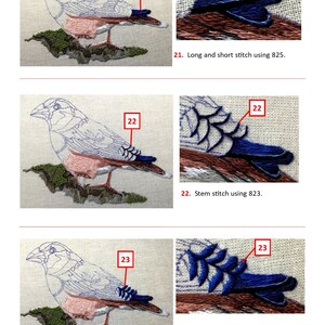 Hand Embroidery Pattern. PDF. Hawfinch Bird Pattern. Step by Step ...