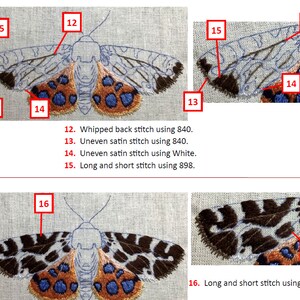 Hand Embroidery Pattern. PDF. Garden Tiger Moth. How to Pattern. Step ...