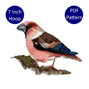 Hand Embroidery Pattern. PDF. Hawfinch Bird Pattern. Step by Step ...