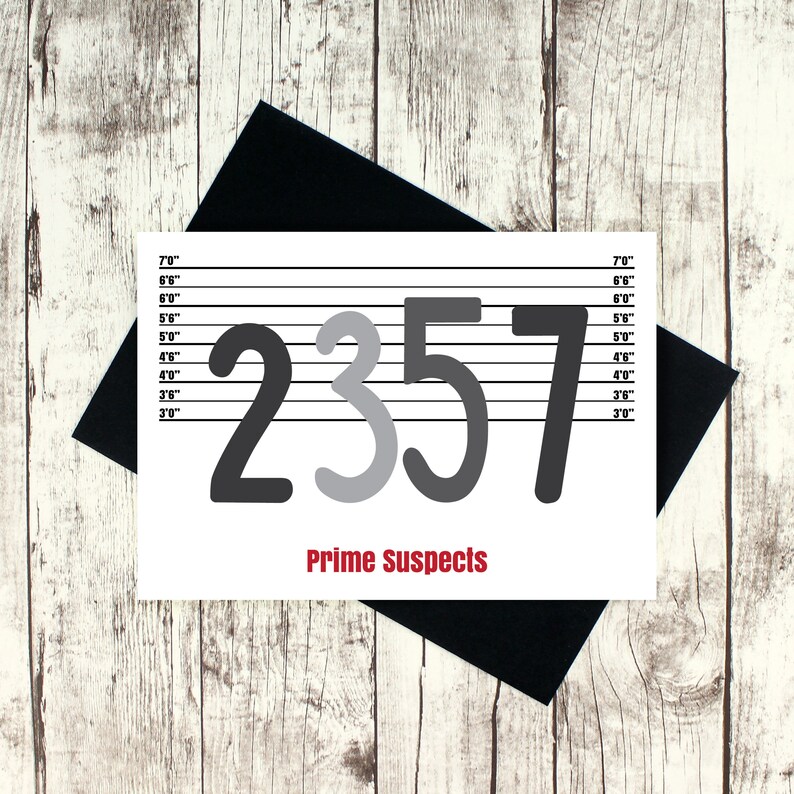 Maths Prime Numbers Word Pun Greeting Card - Etsy UK