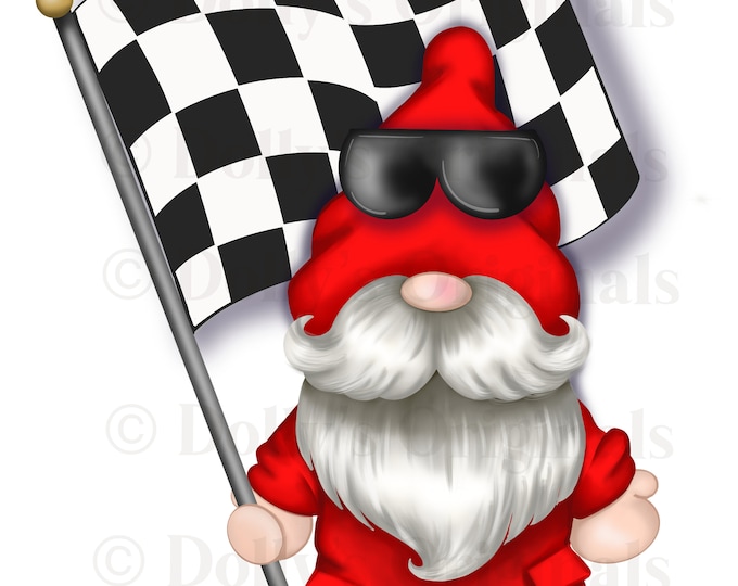 Race Car Driver Gnome - Etsy