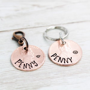 Penny Pet Name Tag, Dog Name Tags, Cat ID Tag, Penny Dog Collar Charm ...