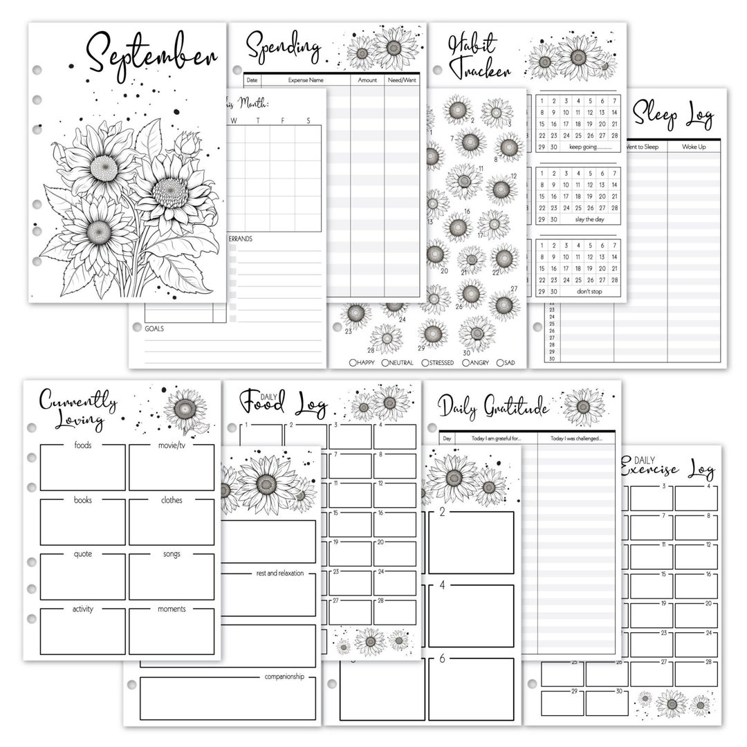 Printed A5 Monthly Journal Set, 12 Pages, Undated, Single Sided for ...