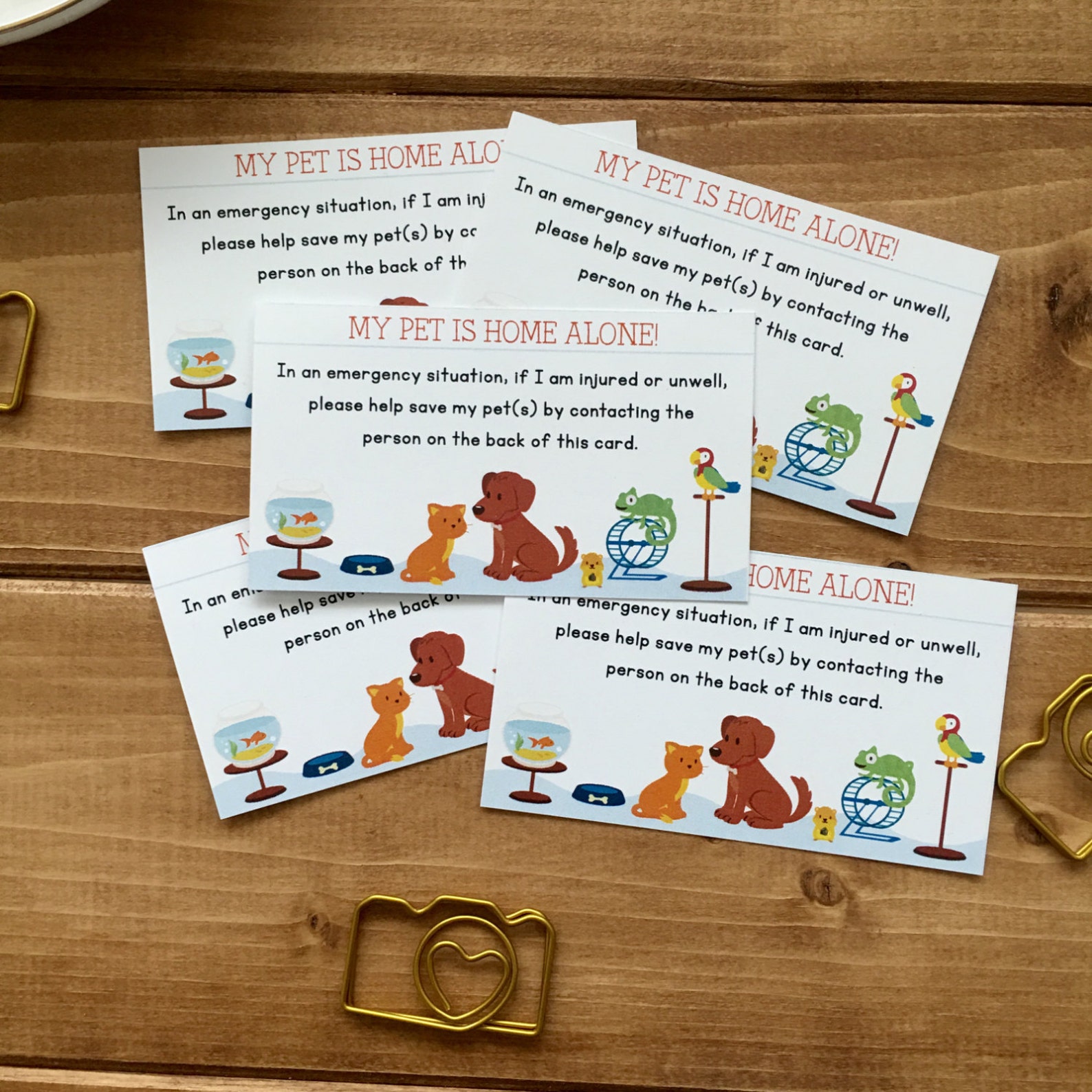 Pet Emergency Card in Case of Emergency Set of 5 Contact - Etsy