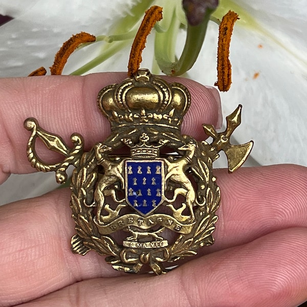 Family Crest Pin - Etsy