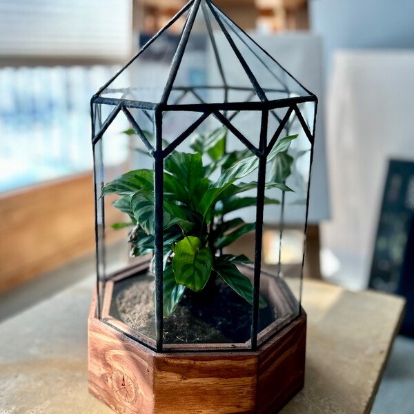 Large Glass Terrarium - Etsy