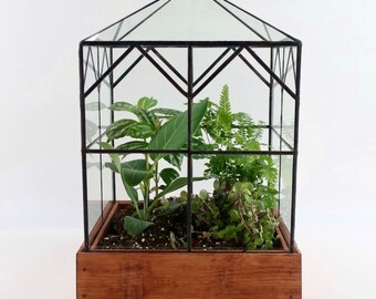 Glass Terrarium - Etsy