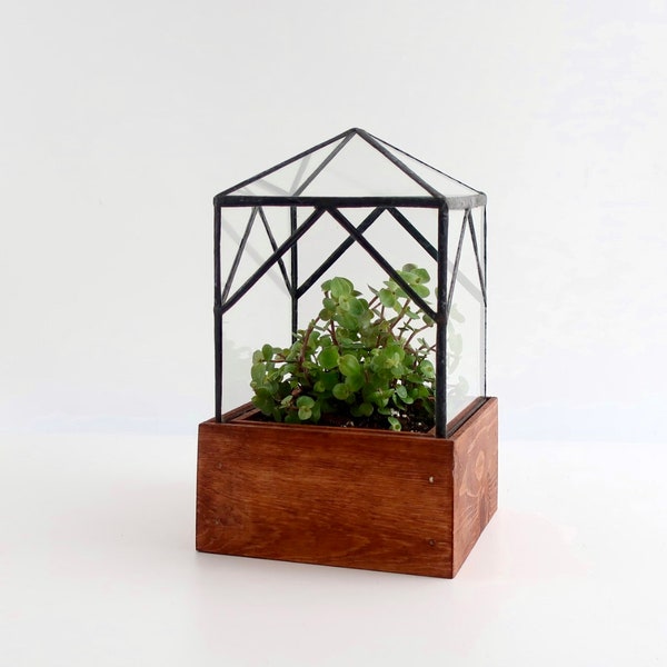Large Glass Terrarium - Etsy
