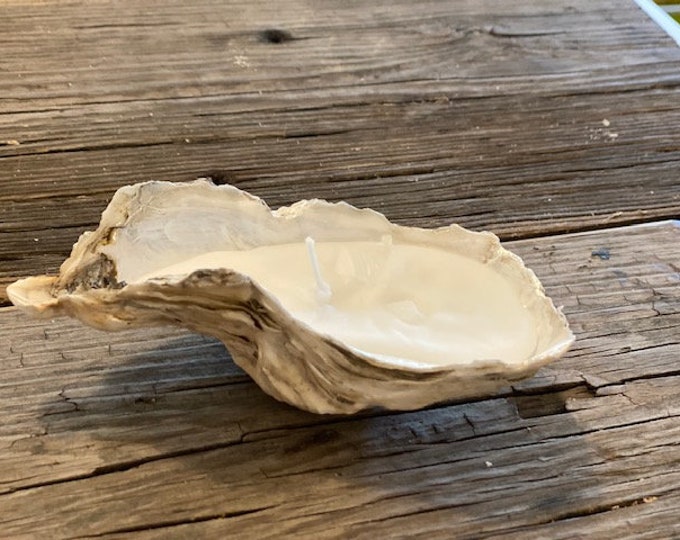 Aromatherapy Oyster Shell Candle Natural Oyster Shell Dish - Etsy