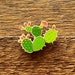 Prickly Pear Cactus Enamel Pin, Desert Arizona Enamel Pin, Single Hard ...