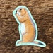 Prairie Dog Sticker, Outdoors Sticker, Single Die Cut Vinyl Sticker - Etsy