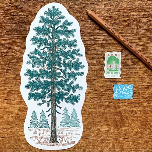 Pine Tree Postcard Nature Postcard Die Cut Letterpress - Etsy