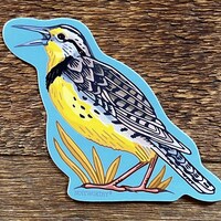 Cactus Wren Sticker | Arizona Birds - Etsy