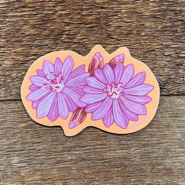 Bitterroot Flower - Etsy