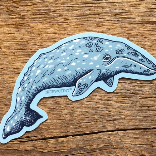 Gray Whale Sticker Whale Sticker Outdoor Sticker Single Die - Etsy