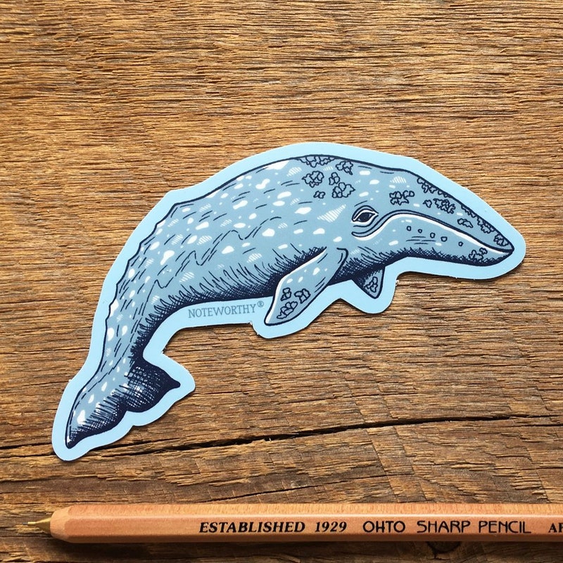 Whale Sticker - Etsy