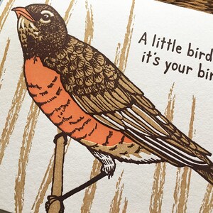 Little Bird Birthday American Robin Card Letterpress - Etsy