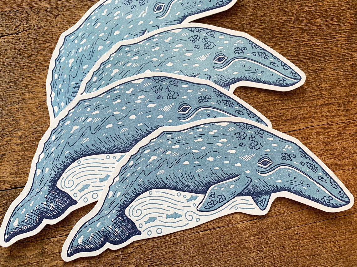 Gray Whale Postcard, Whale Postcard, Die Cut Letterpress Postcard - Etsy